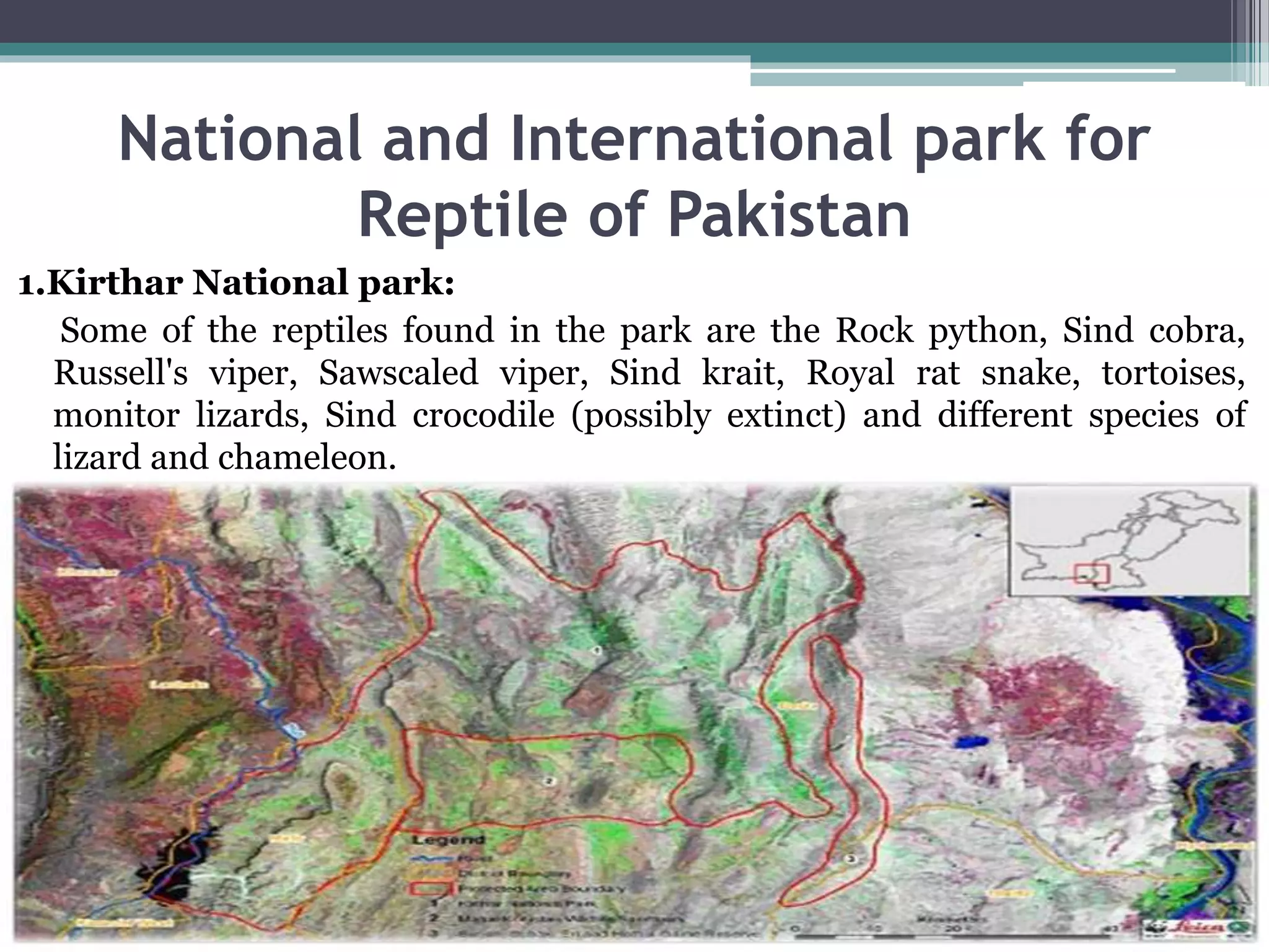 Reptiles in pakistan- Wildlife- Reptiles | PPTX