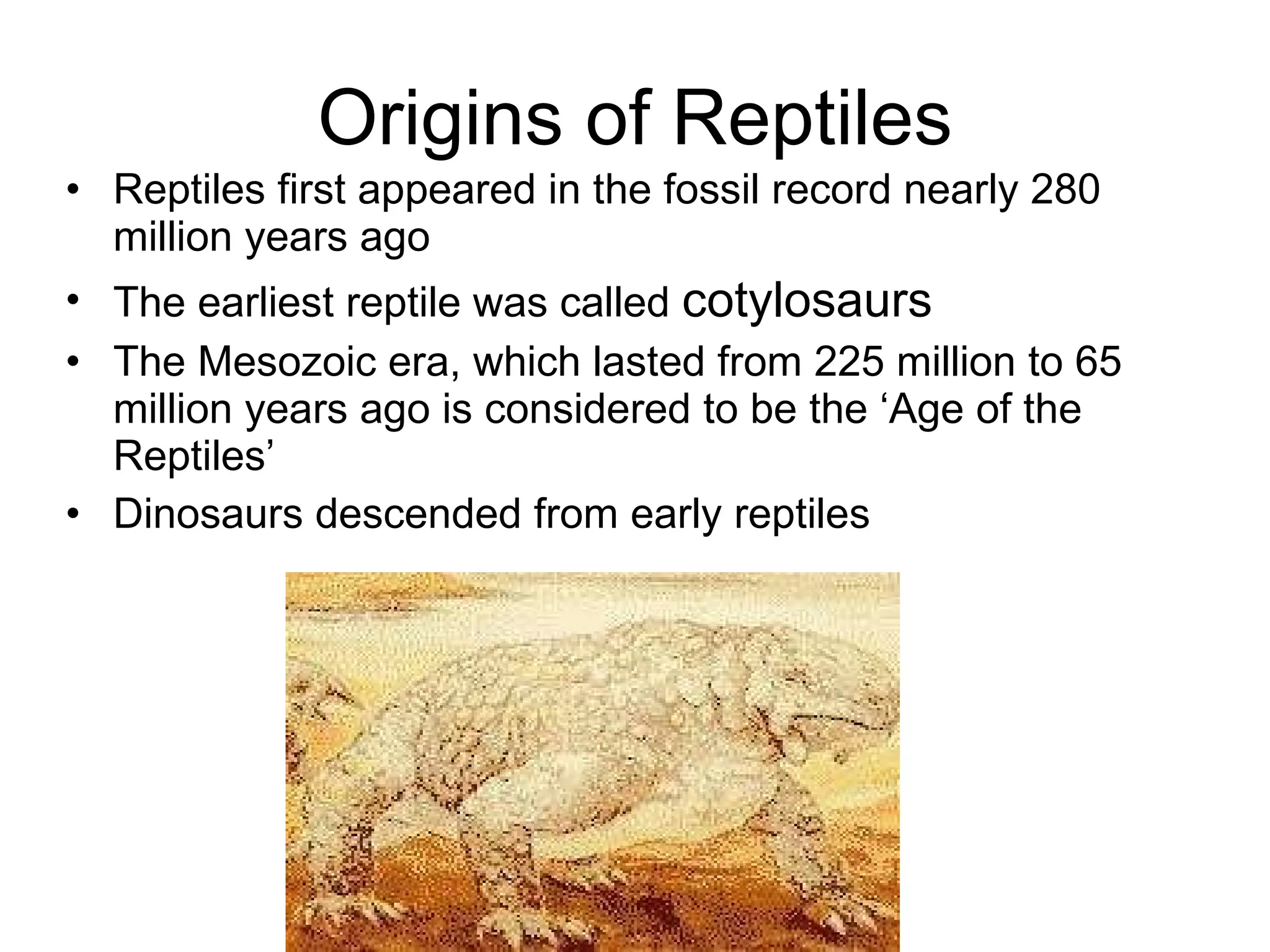 Reptiles Life Science 15 4 | PPT