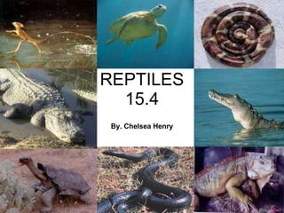 Reptiles Life Science 15 4 | PPT