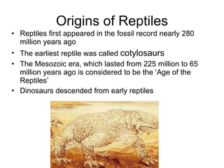 Reptiles Life Science 15 4 | PPT