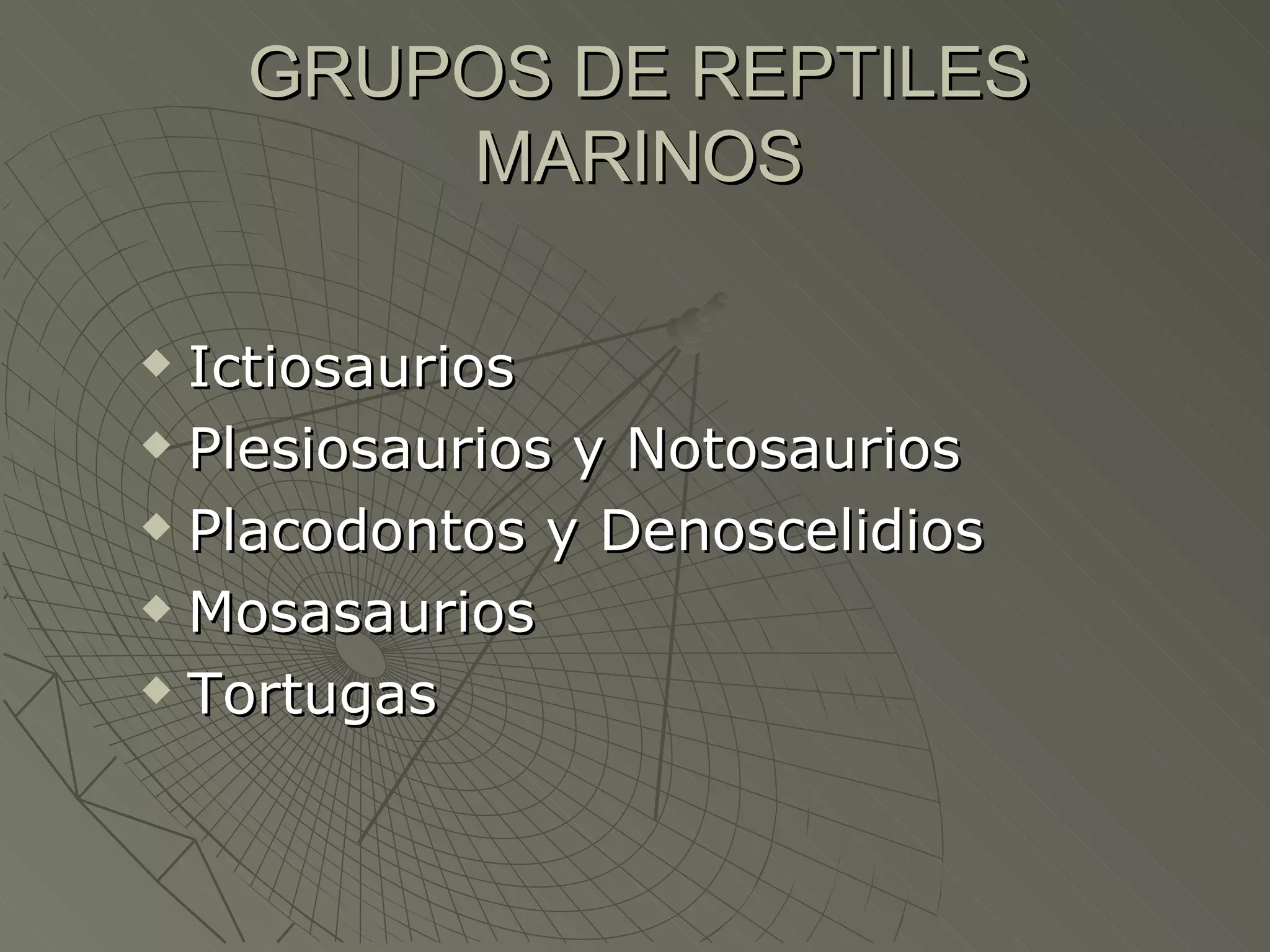 Reptiles Marinos | PPT | Zoos & Aquariums | Attractions