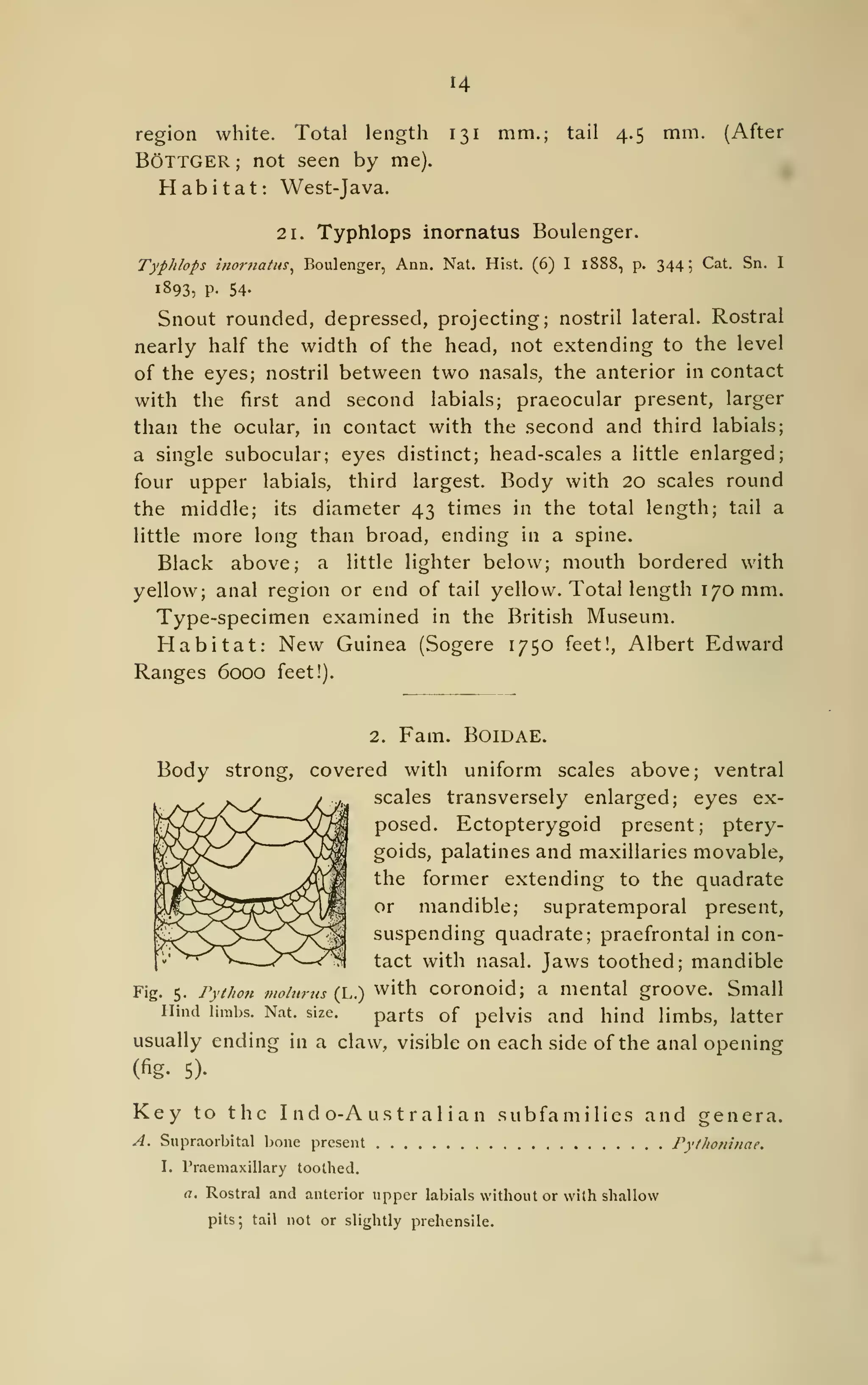 reptilesofind02rooi.pdf