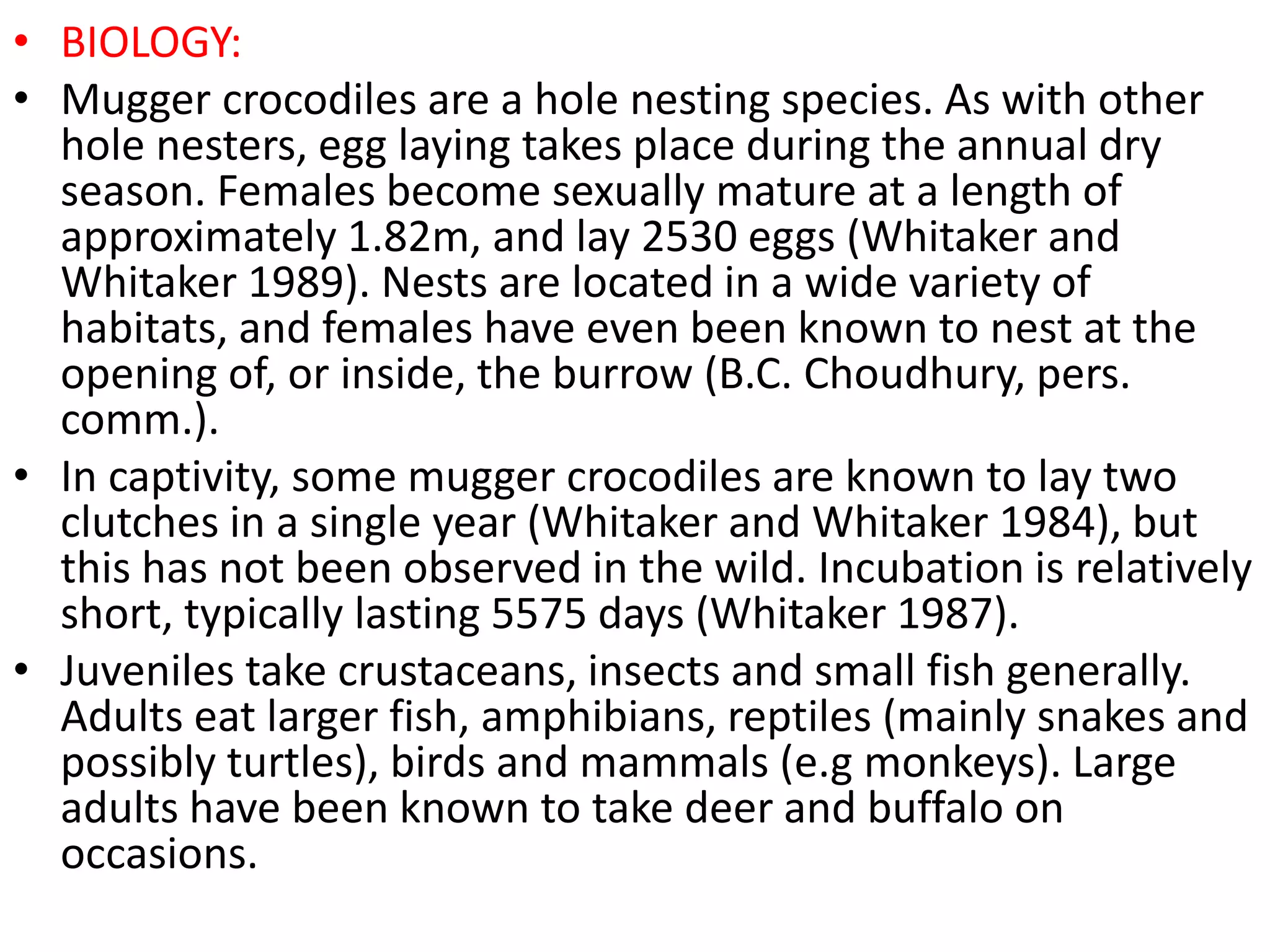 Reptiles of Pakistan | PPTX