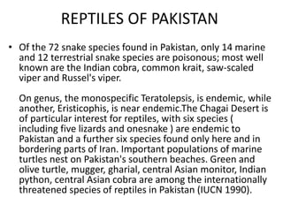 Reptiles of Pakistan | PPTX