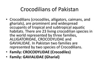Reptiles of Pakistan | PPTX