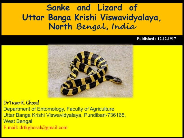 Snake and Lizard of UBKV (Total slides 30) | PPT