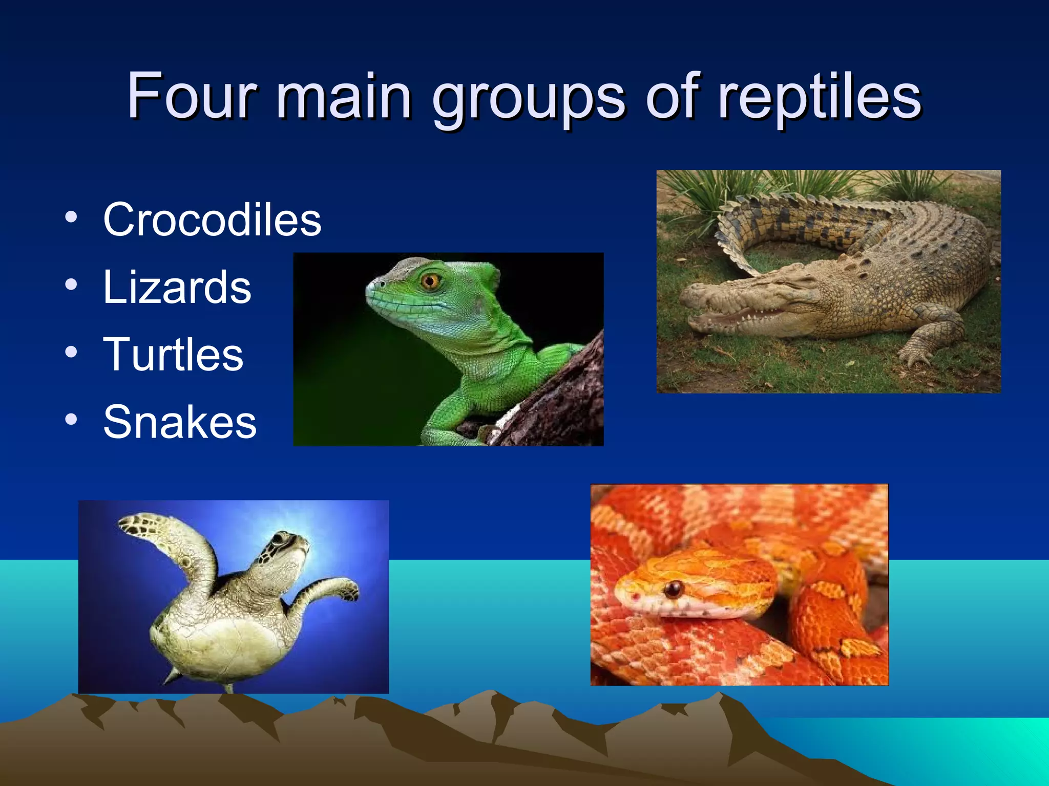 Reptiles ppt | PPT