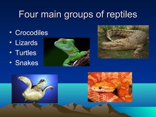 Reptiles ppt | PPT
