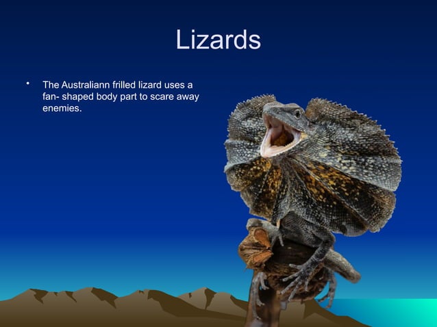 reptiles power point simple, brief, and basic. | PPT