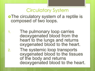 Reptiles Circulatory System