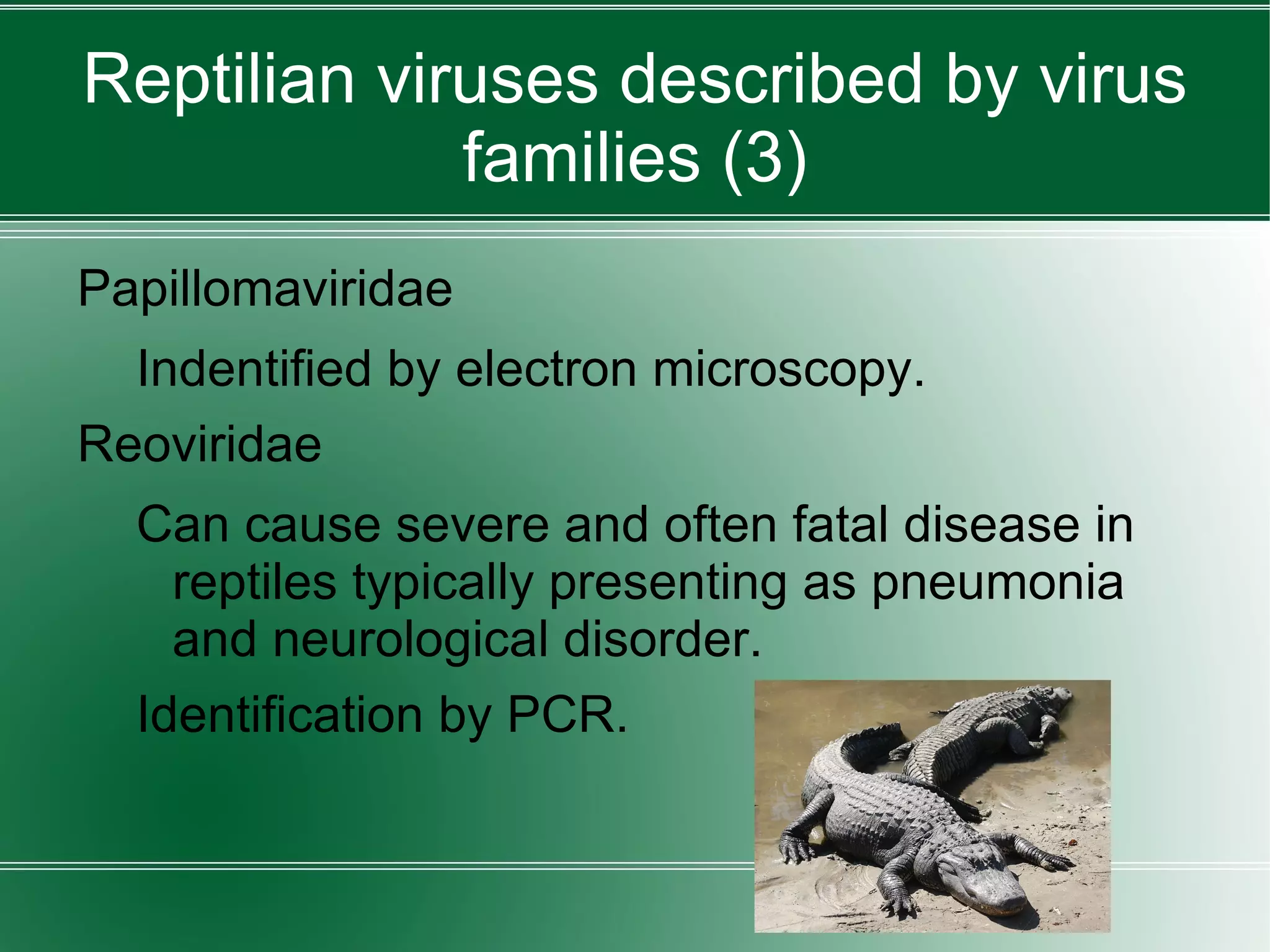 Viruses in reptiles | ODP