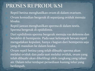 Reptilia | PPT