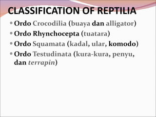 Reptilia | PPT