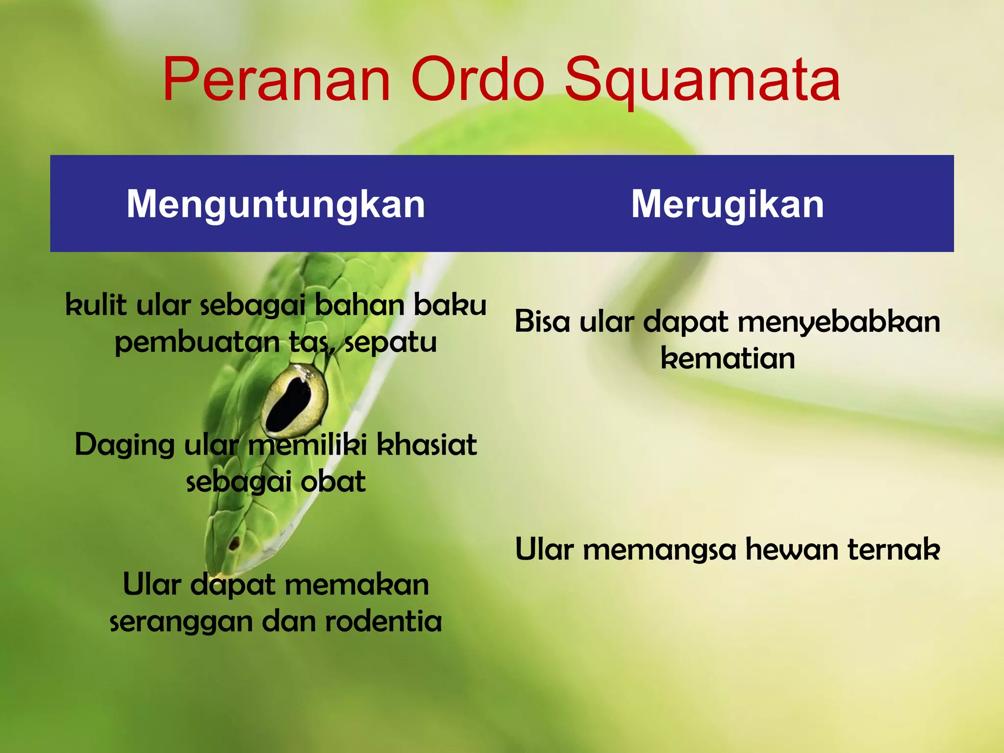 Kelas Reptilia | PPT