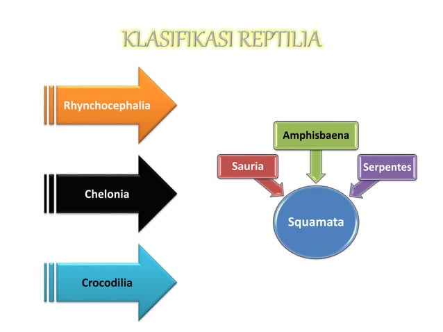Reptilia | PPT