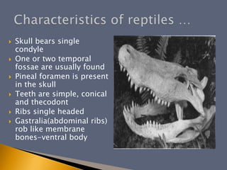 reptiliancharacters-181218161511.pdf