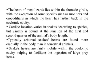 Reptlia Heart 1.pptx