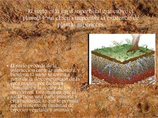 LOS SUELOS | PPTX
