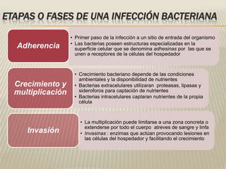 Repuesta del sistema inmune frente a las enfermedades | PPTX