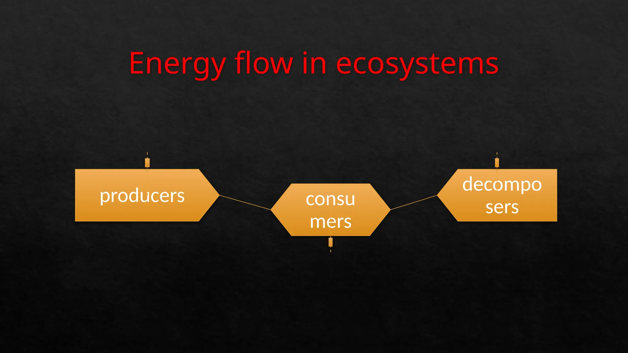 energy flow in ecosystems licensed pptx.pptx