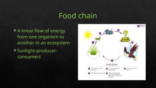 energy flow in ecosystems licensed pptx.pptx