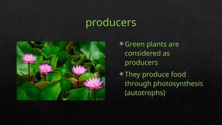energy flow in ecosystems licensed pptx.pptx