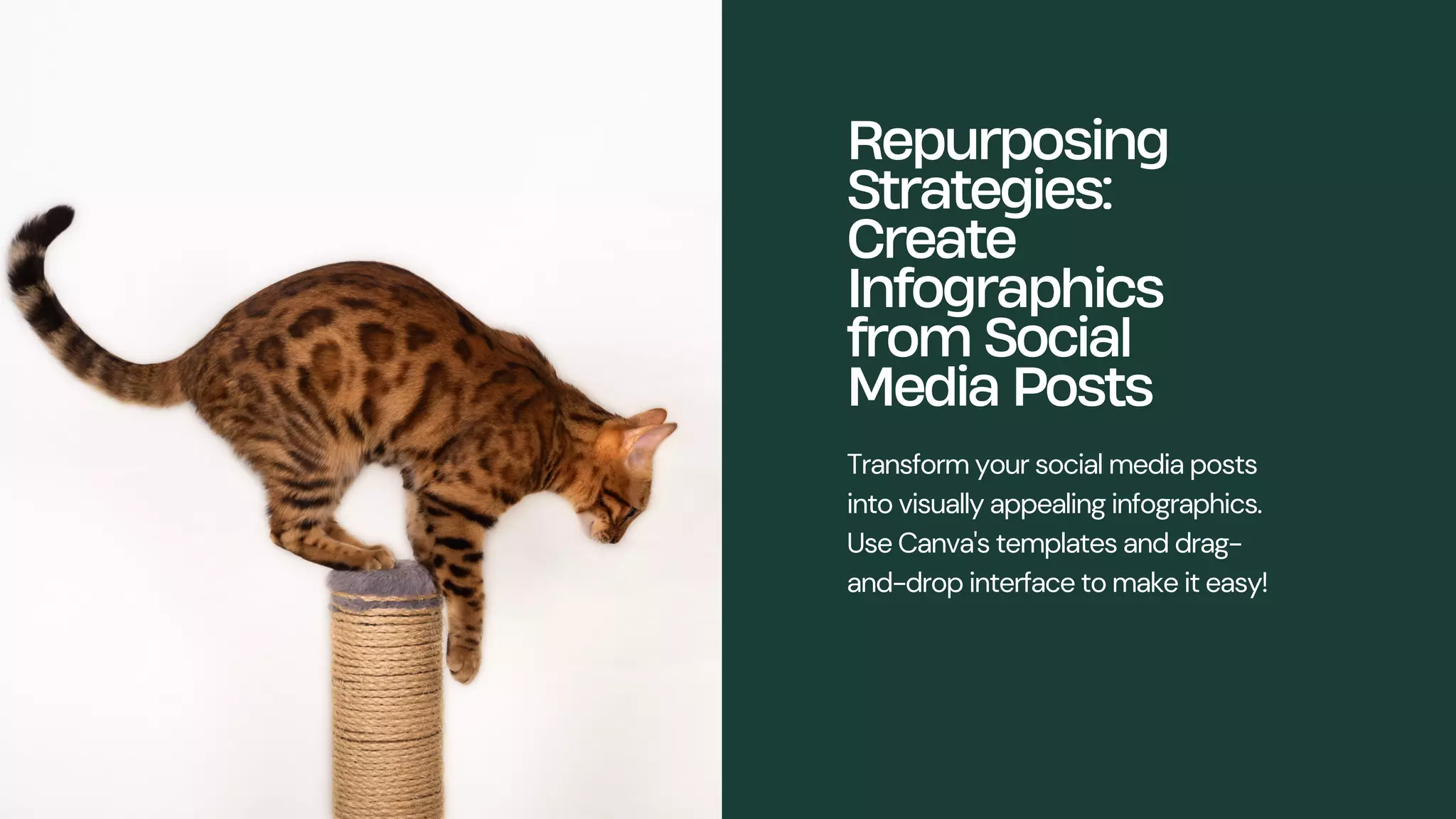 Repurposing Content Ideas and Strategies.pdf