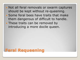 Requeening Feral Hives | PPTX | Beekeeping | Hobbies & Interests