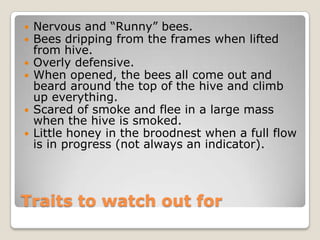 Requeening Feral Hives | PPTX