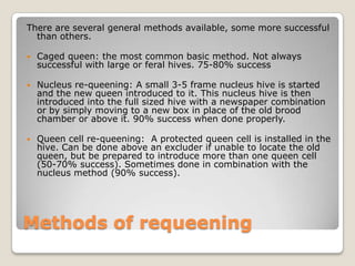 Requeening Feral Hives | PPTX | Beekeeping | Hobbies & Interests