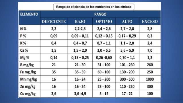 Requerimientos nutricionales en cultivos permanentes