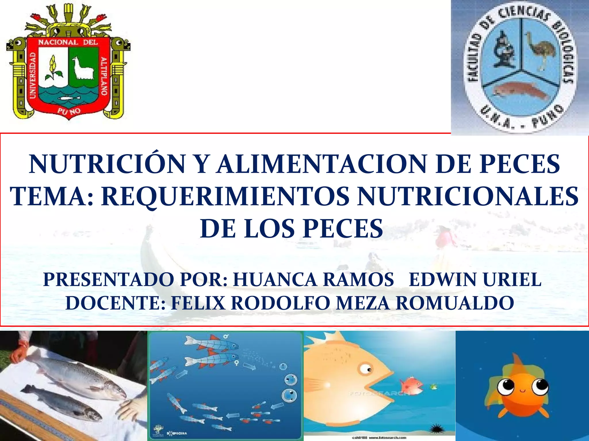Requerimientos Nutricionales en Peces | PPT