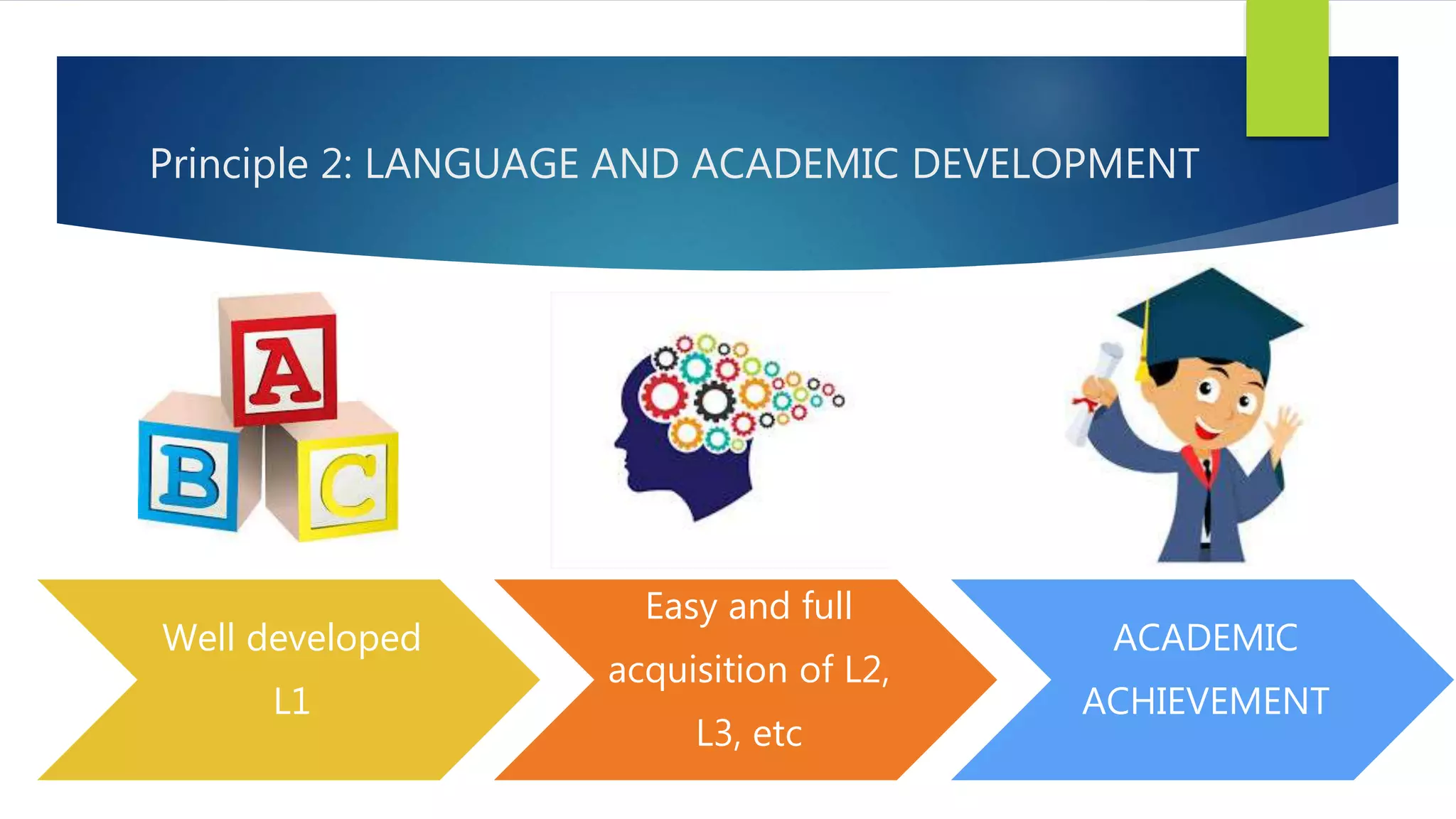 Requirements for principles of teaching 2 | PPTX