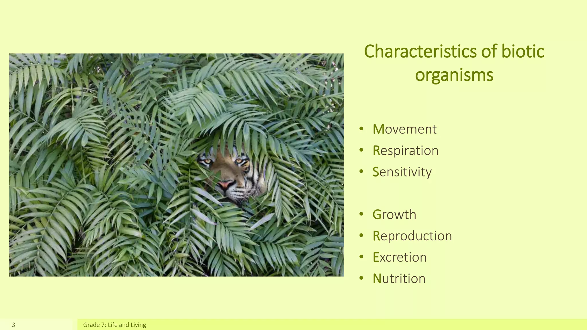 Requirements for sustaining life | PPTX