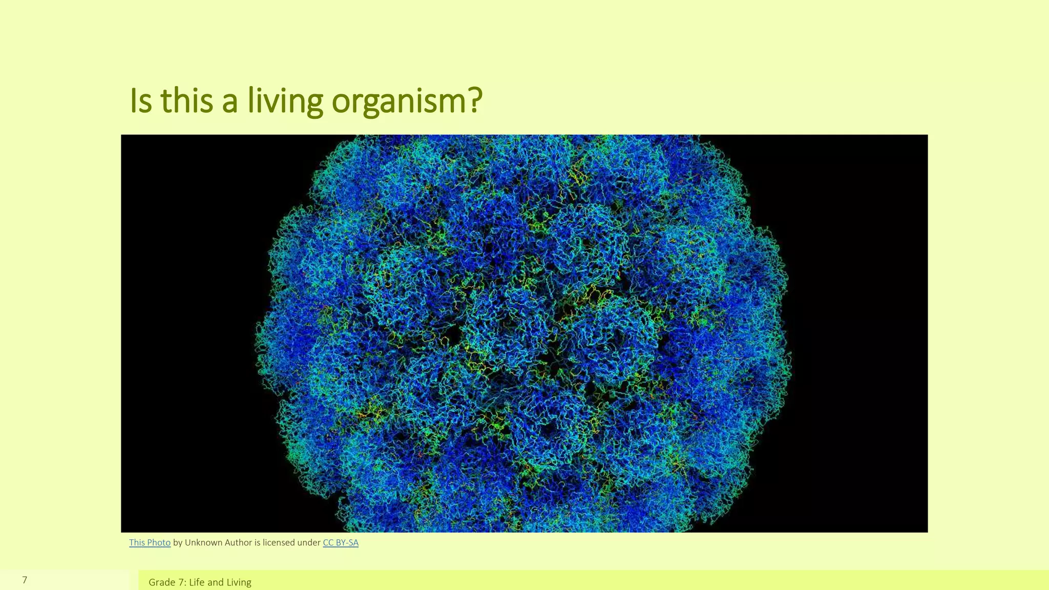 Requirements for sustaining life | PPTX