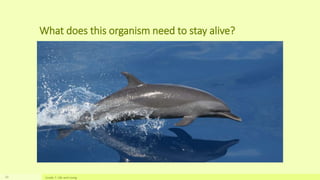 Requirements for sustaining life | PPTX