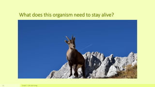 Requirements for sustaining life | PPTX