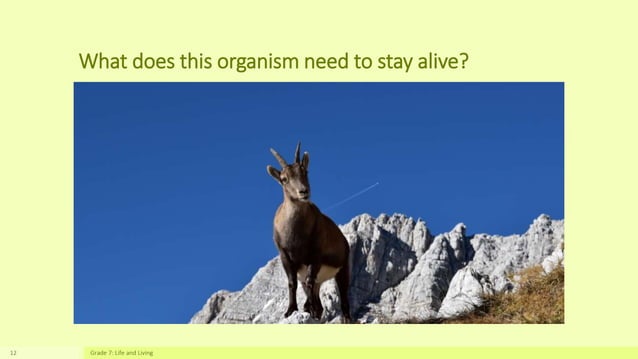 Requirements for sustaining life | PPTX