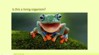 Requirements for sustaining life | PPTX