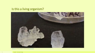 Requirements for sustaining life | PPTX