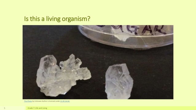 Requirements for sustaining life | PPTX