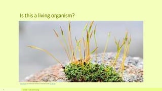 Requirements for sustaining life | PPTX