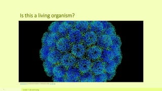 Requirements for sustaining life | PPTX