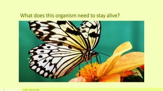 Requirements for sustaining life | PPTX