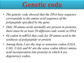 Requirements for translation in prokaryotes | PPT