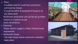 Requirements to build a permanent structure for mushroom production | PPTX