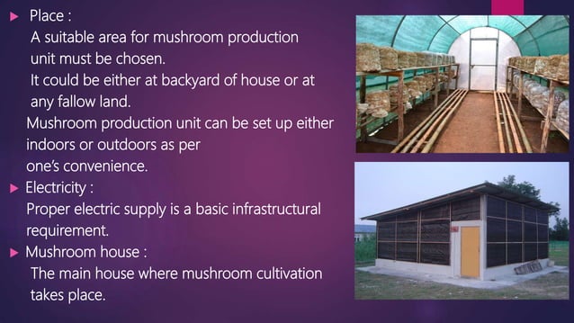 Requirements to build a permanent structure for mushroom production | PPTX