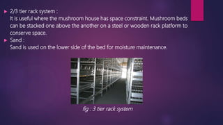 Requirements to build a permanent structure for mushroom production | PPTX