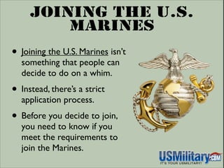 Requirements To Join The Marines: Do You Have What It Takes To Be A ...