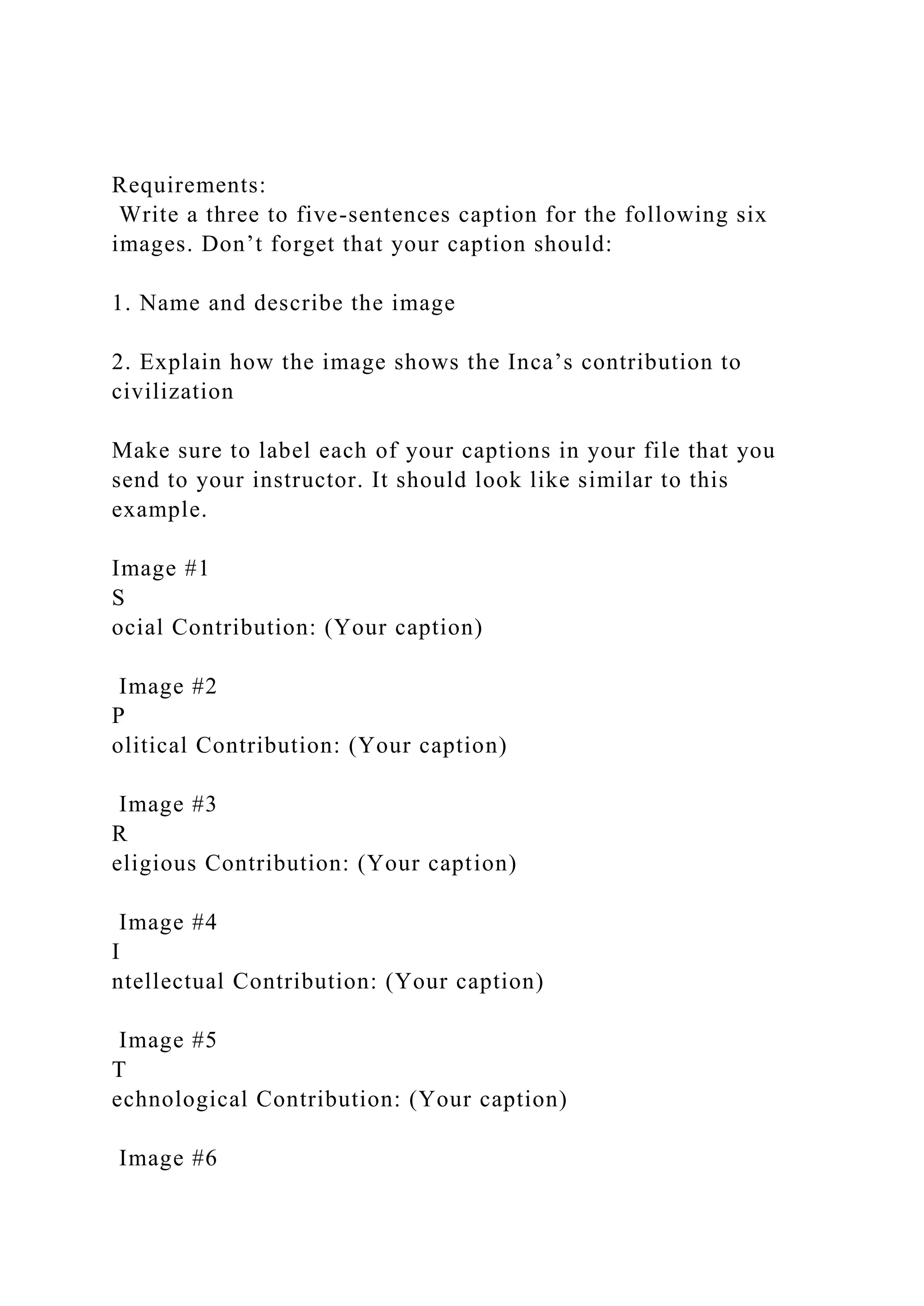 Requirements Write a three to five-sentences caption for the fo.docx